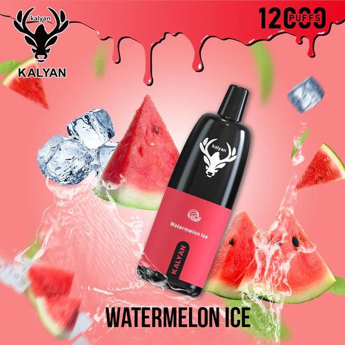 KALYAN PRO 12000 PUFFS DISPOSABLE VAPE in UAE - Enjoy Vape UAE
